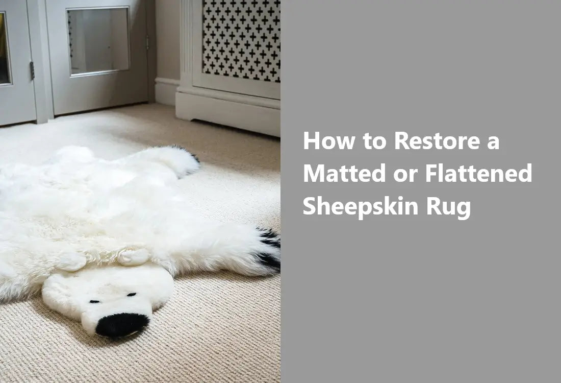 How to Restore a Matted Sheepskin Rug | Easy Fluffing Guide – Jacobs ...